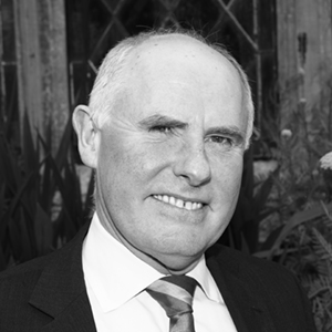 David Vernon (grey) - Intelligent Partnership